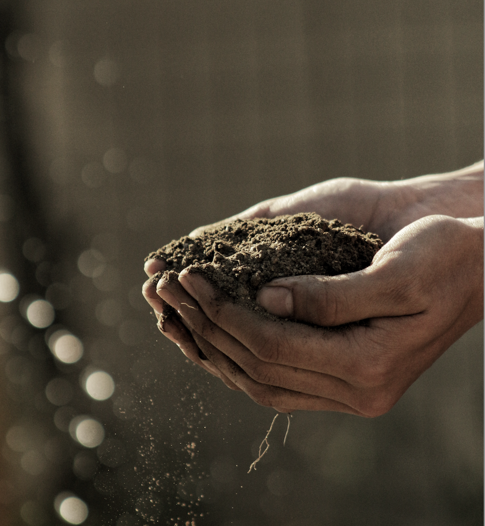 Build your own soil puzzle and unearth the soil’s full potential - Agri ...